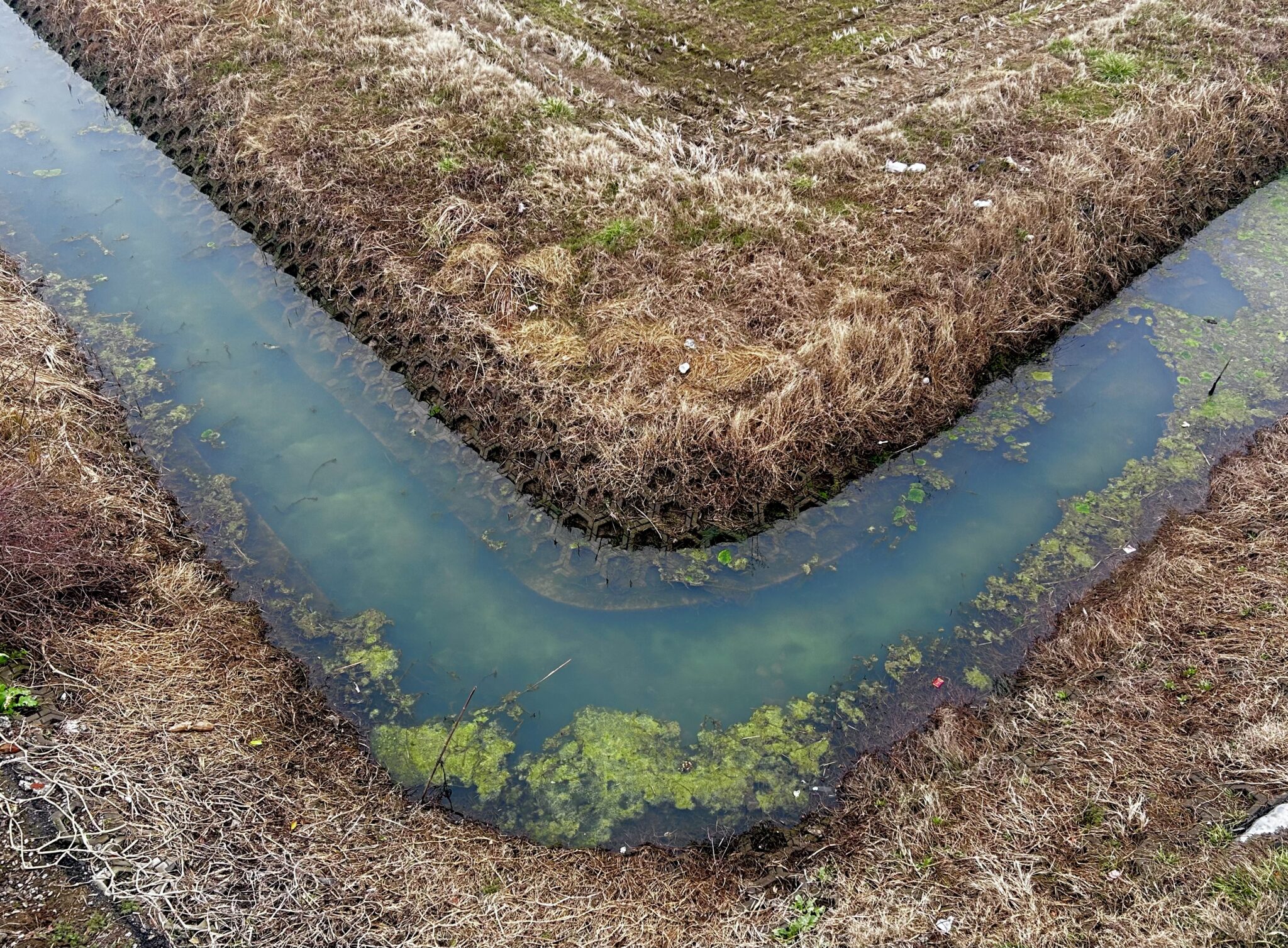 » Cracking the Shell on Crawfish City (Max) 2024 China Liase Official ...