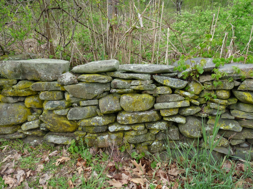 Reflections on Community and Public Archaeology | Presenting ...