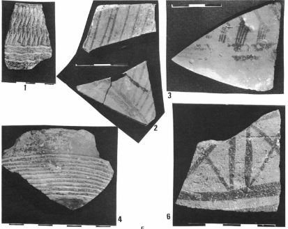 » Sarazm (Саразм) Central Asia Sites