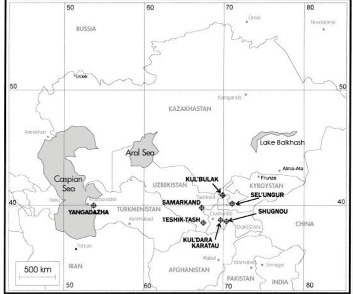 » Paleolithic Central Asia Sites