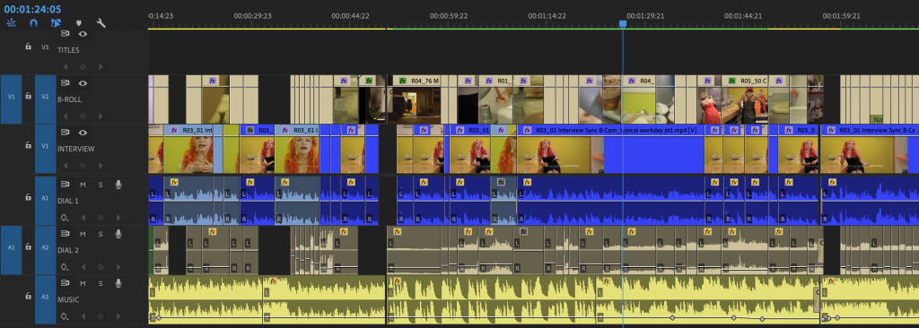 Premiere Pro – Five Ideas for Great Project Organization – Film Majors ...