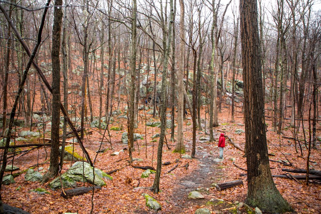 » A World-Renowned Trail and A Scenic Re-Purposed Nuclear Lake Historic ...