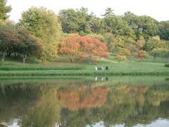 Enjoy Spring in the Vassar Farm | Sustaining Hudson Valley Agriculture
