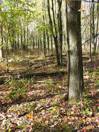 Enjoy Spring in the Vassar Farm | Sustaining Hudson Valley Agriculture