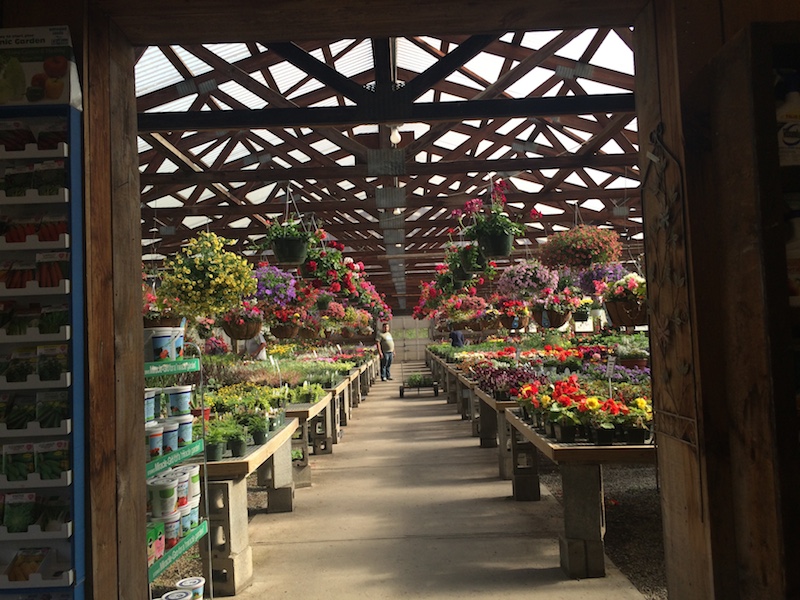 It’s All in the Family at Wallkill View Farm | Sustaining Hudson Valley ...