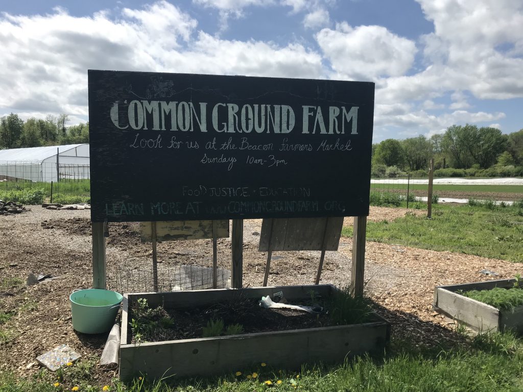 A Trip to Common Ground Farm! | Sustaining Hudson Valley Agriculture