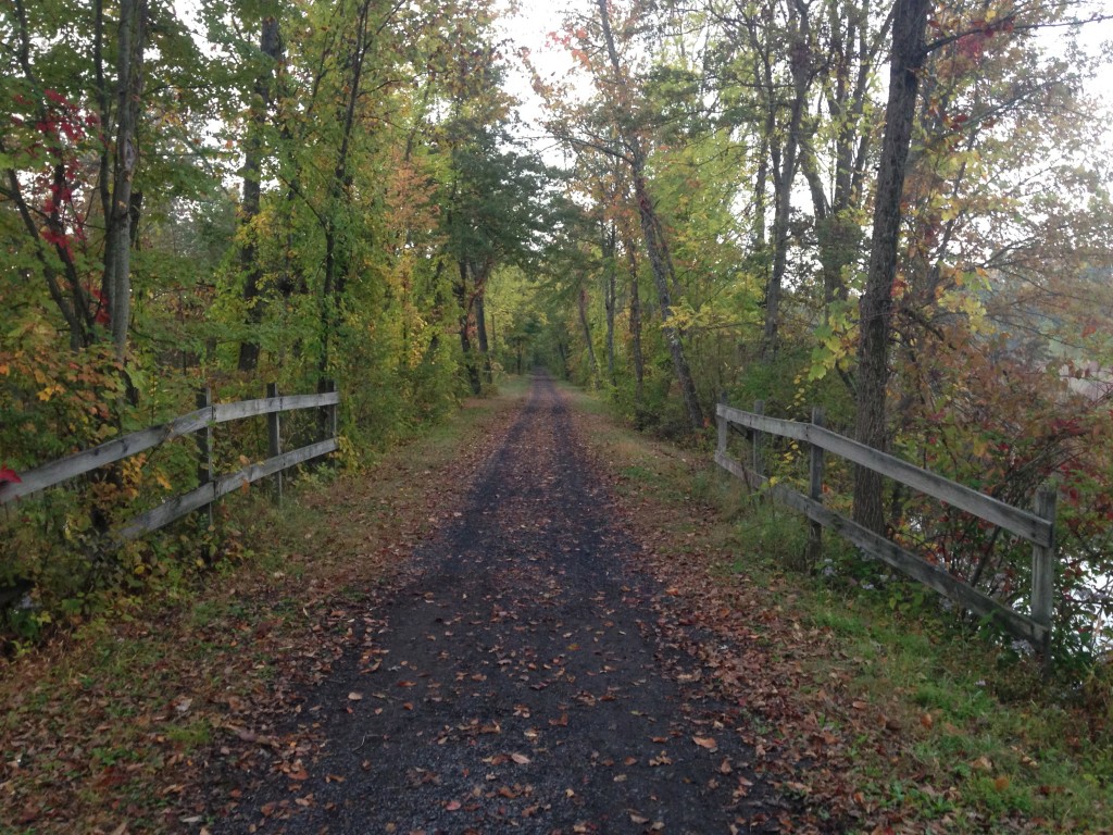 Wallkill Valley Rail Trail | The Hudson Valley's Amenity Economy