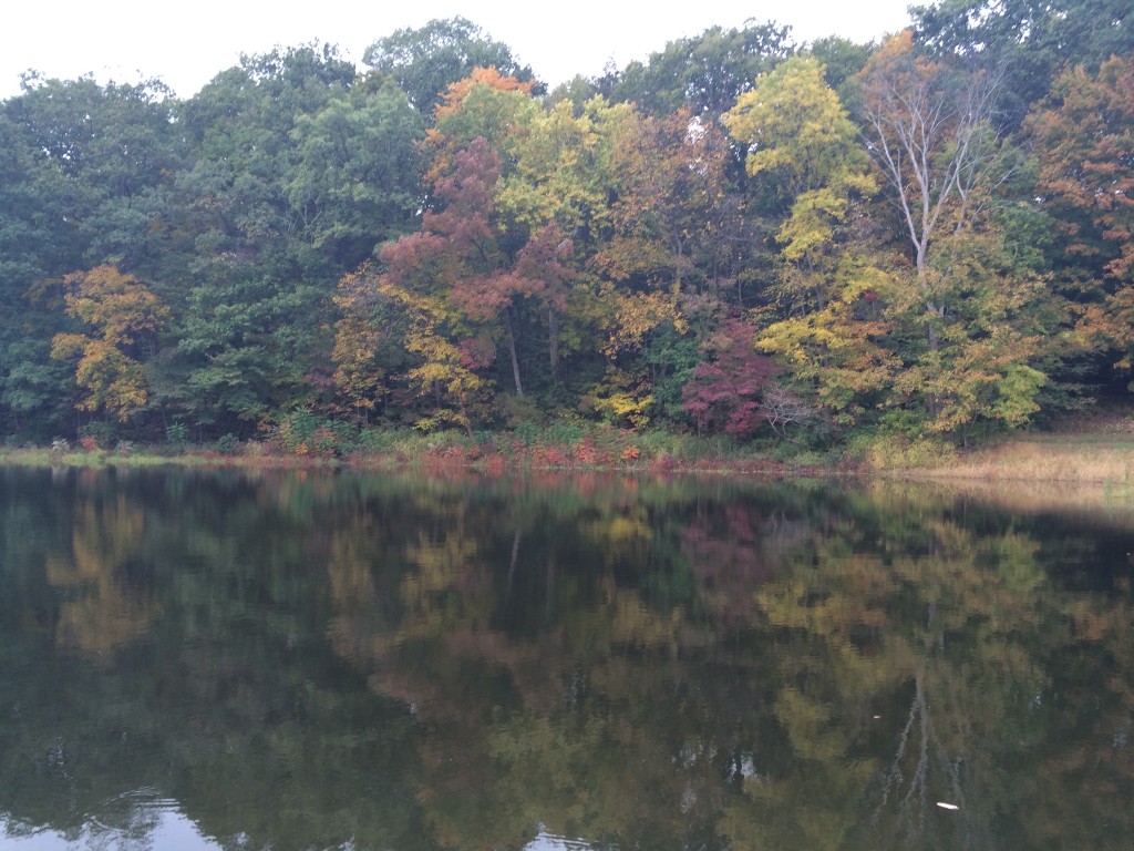 Ferncliff Forest | The Hudson Valley's Amenity Economy