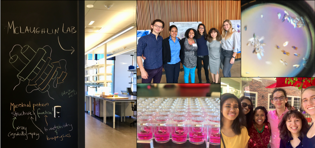 header-mclabsite-2 – McLaughlin Lab | Vassar