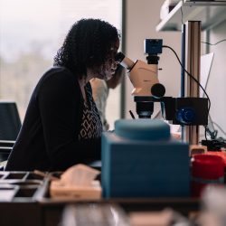 McLaughlin Lab | Vassar