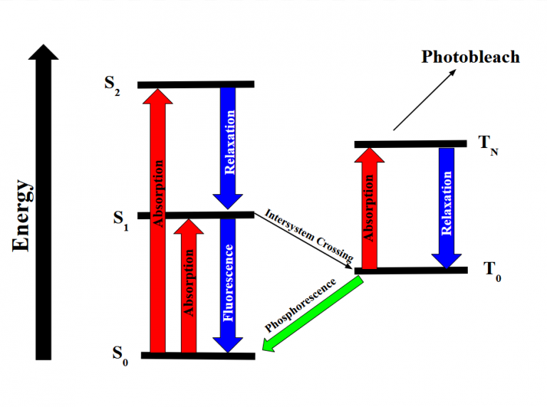 Photobleaching of Methylene Blue | Modeling and Experimental Tools with ...