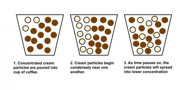 Cream Diffusion in Coffee | Modeling and Experimental Tools with Prof ...
