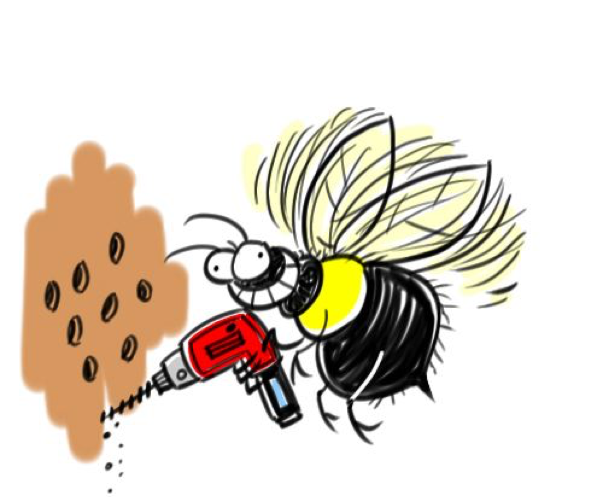 Where’s my nest? Multimodal cues facilitate nest recognition in ...