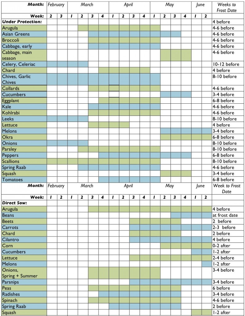 Vassar Experimental Garden